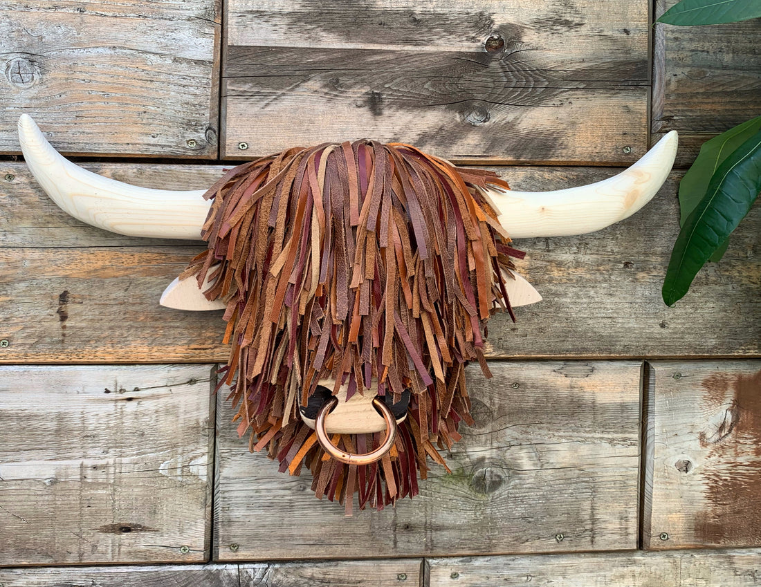 Quirky Handmade Highland Cow Heads – heads-shed