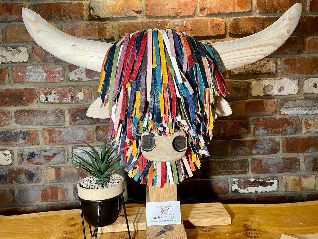 Wall Mounted Multi-coloured Highland Cow Head – heads-shed