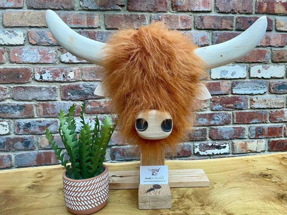 Quirky Handmade Highland Cow Heads – heads-shed