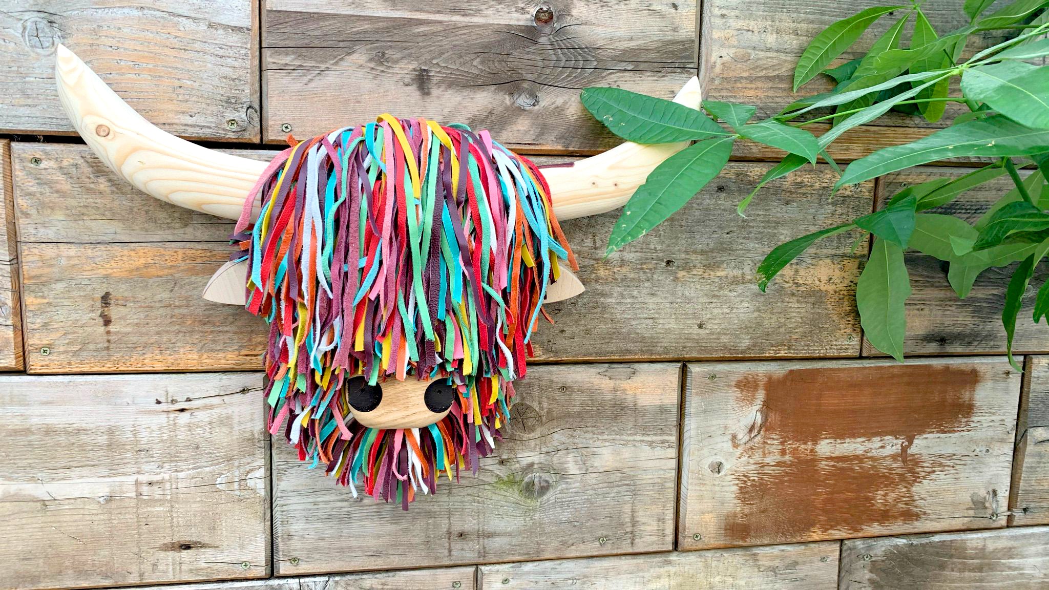Quirky Handmade Highland Cow Heads – heads-shed